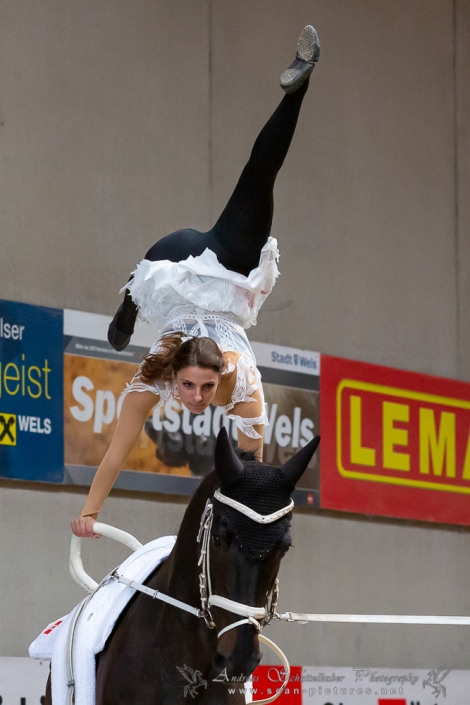 IMG_1310_Fritz_Daniela - Niederösterreichischer Pferdesportverband