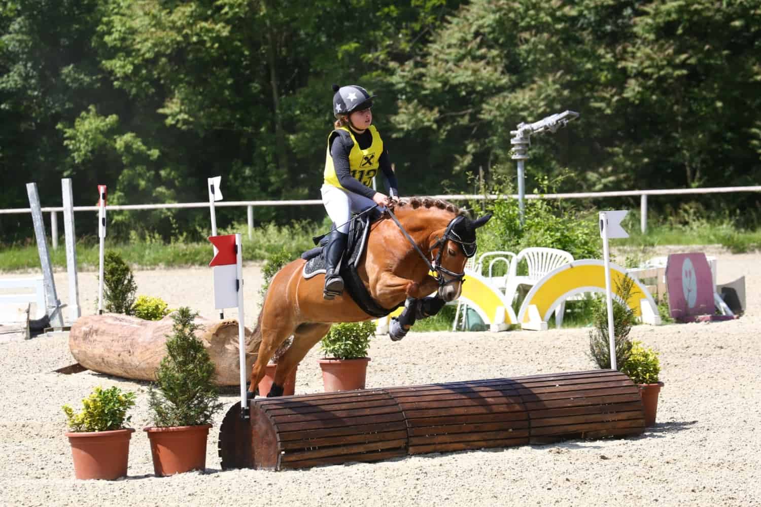 Ländliche NÖ : EQUIVA VS Kleinpferde Trophy - Niederösterreichischer ...