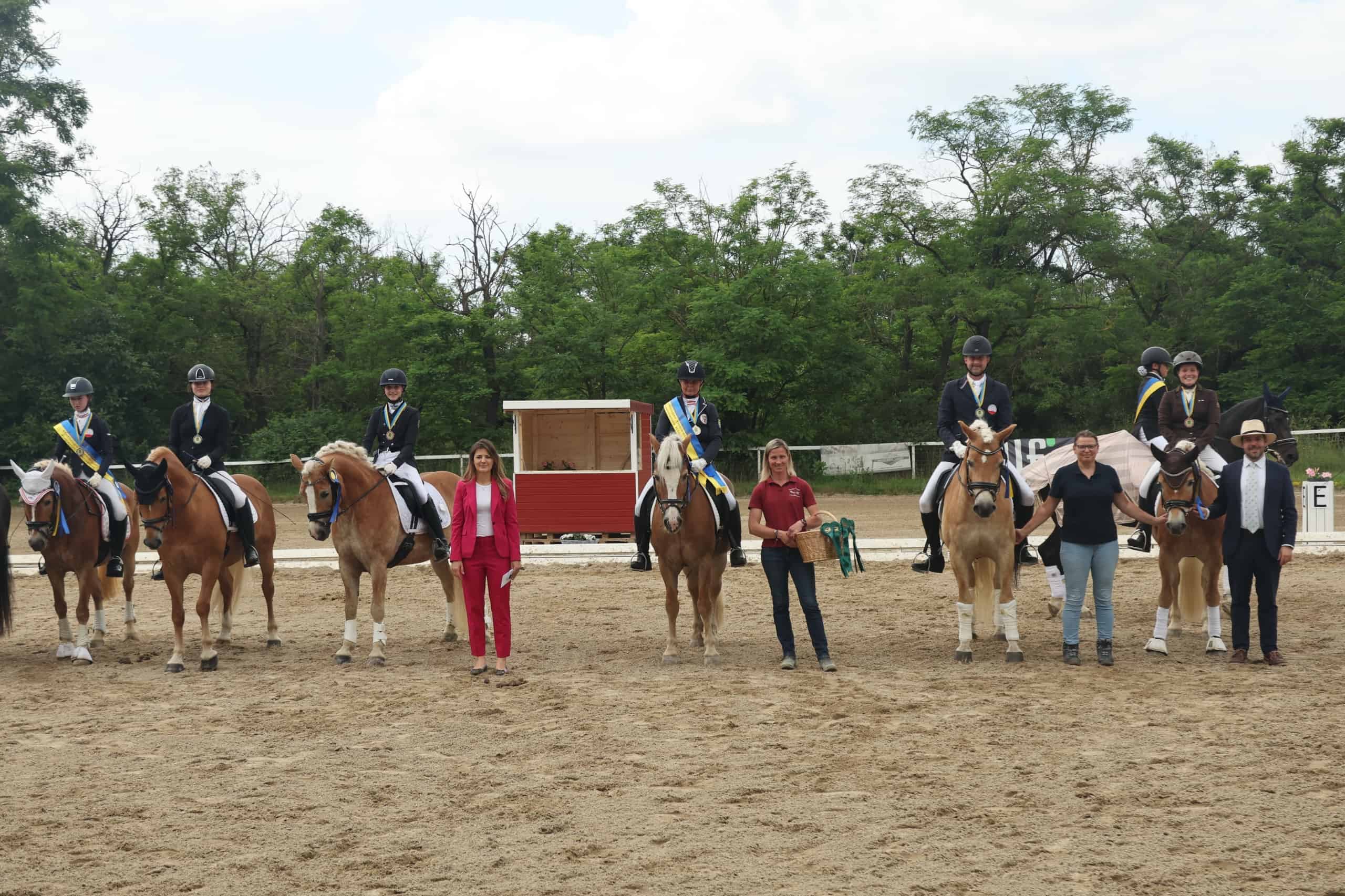NOELM_Haflinger_Dressur_2023_Kapellerfeld_chappyhippo_ManfredLoidl (1 ...