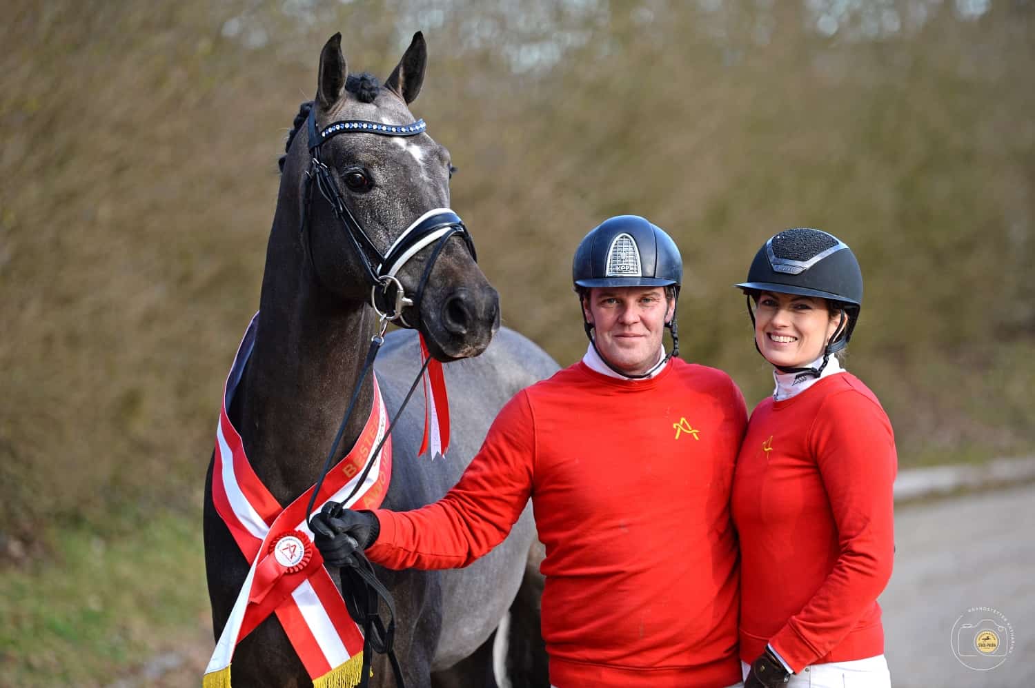 Jetzt gehts los! AWÖ Hengsttage 2024 - Niederösterreichischer ...