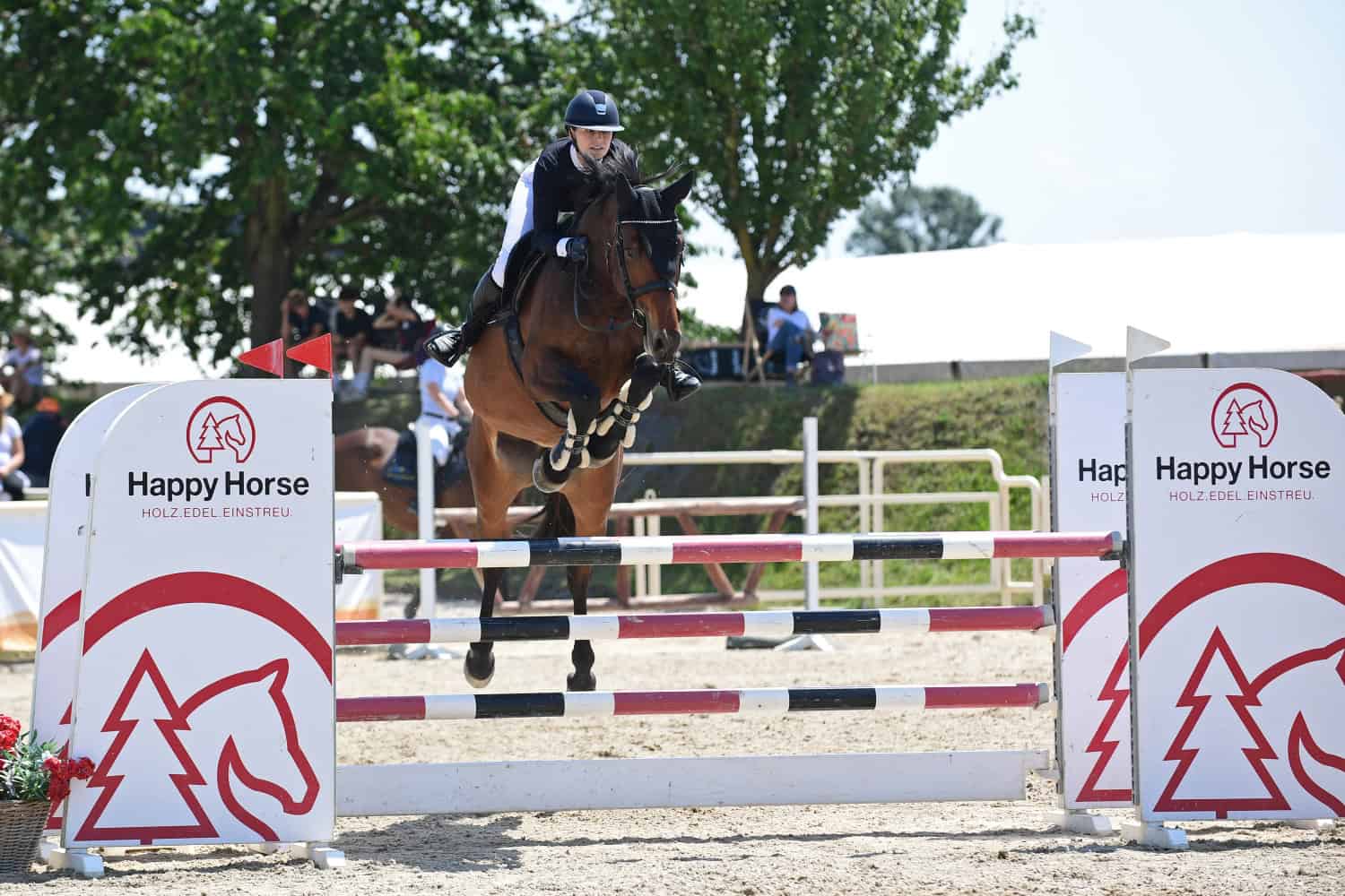 Tolle Heimsiege in Lassee - Niederösterreichischer Pferdesportverband