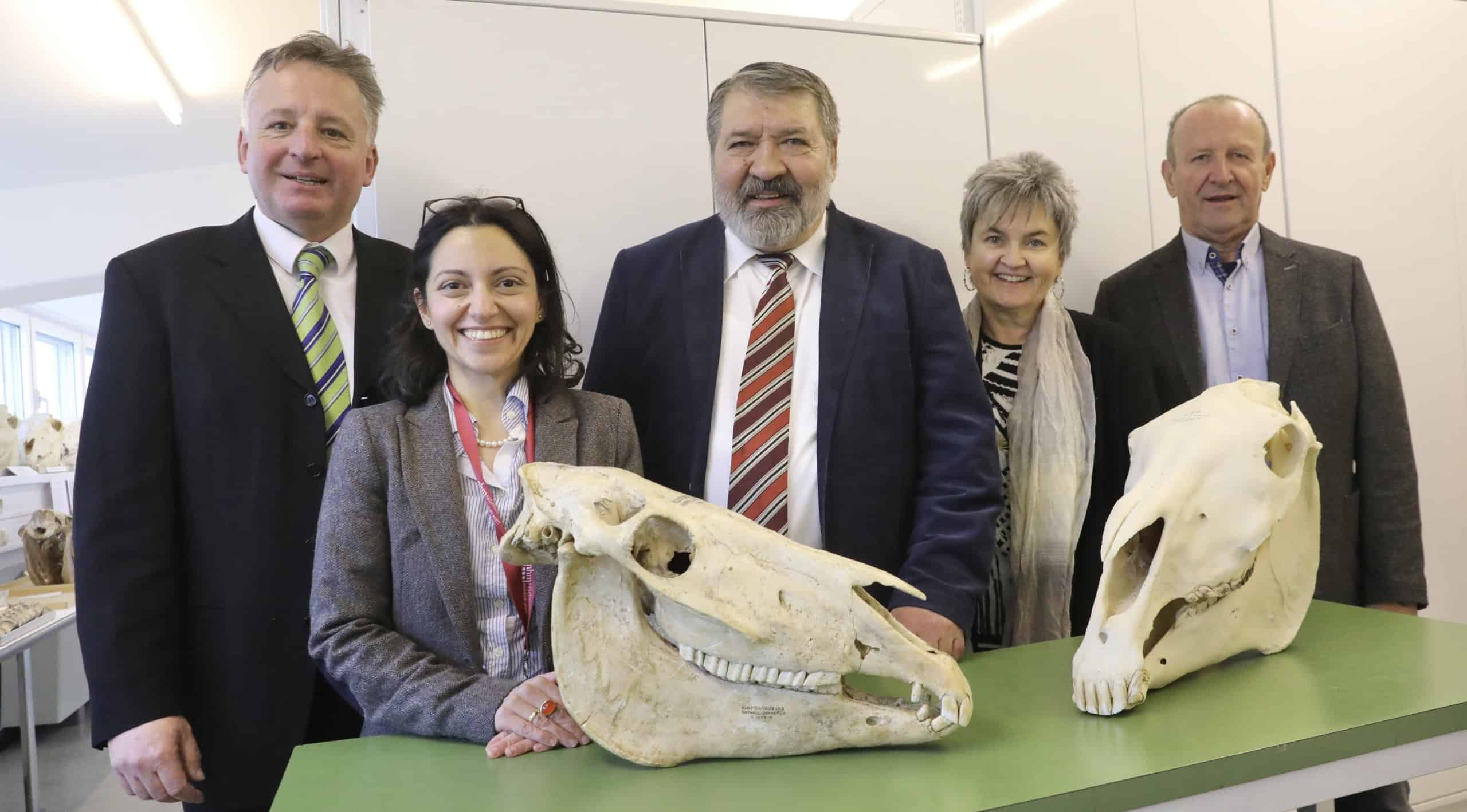 Sonderführung »Die ersten Hauspferde Österreichs« anlässlich 20 Jahre ...