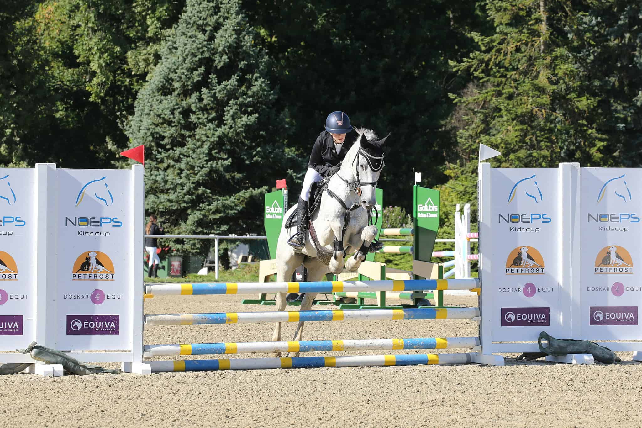 20.000 Euro für den Springsport in NÖ - Niederösterreichischer ...